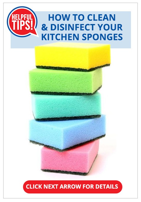 Scourers - Spontex South Africa